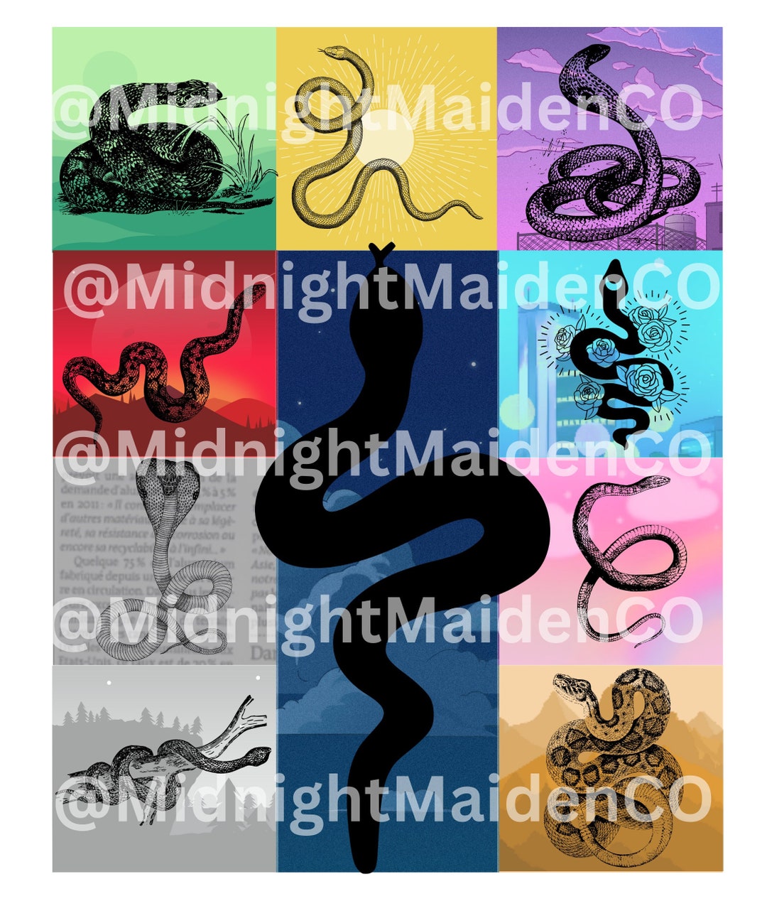 Reputation Snake Eras Tour Poster Taylor Swift Transparent Background ...