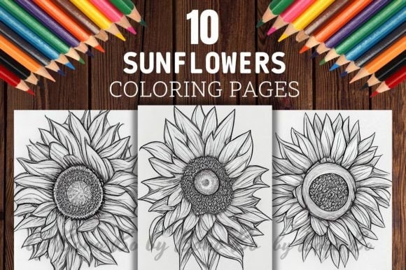 Sunflowers Coloring Pages, Beautiful Blooms Graphics, 10 Pages - Etsy
