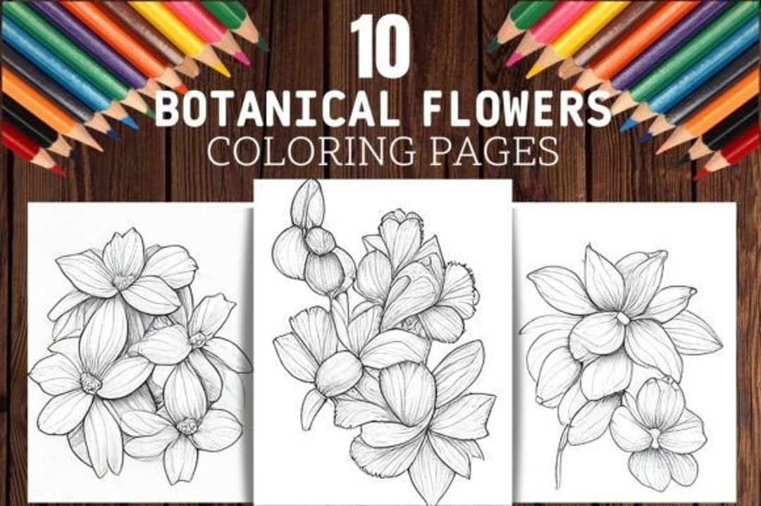 Botanical Flowers Coloring Pages, Beautiful Blooms Graphics, Part 4, 10 ...
