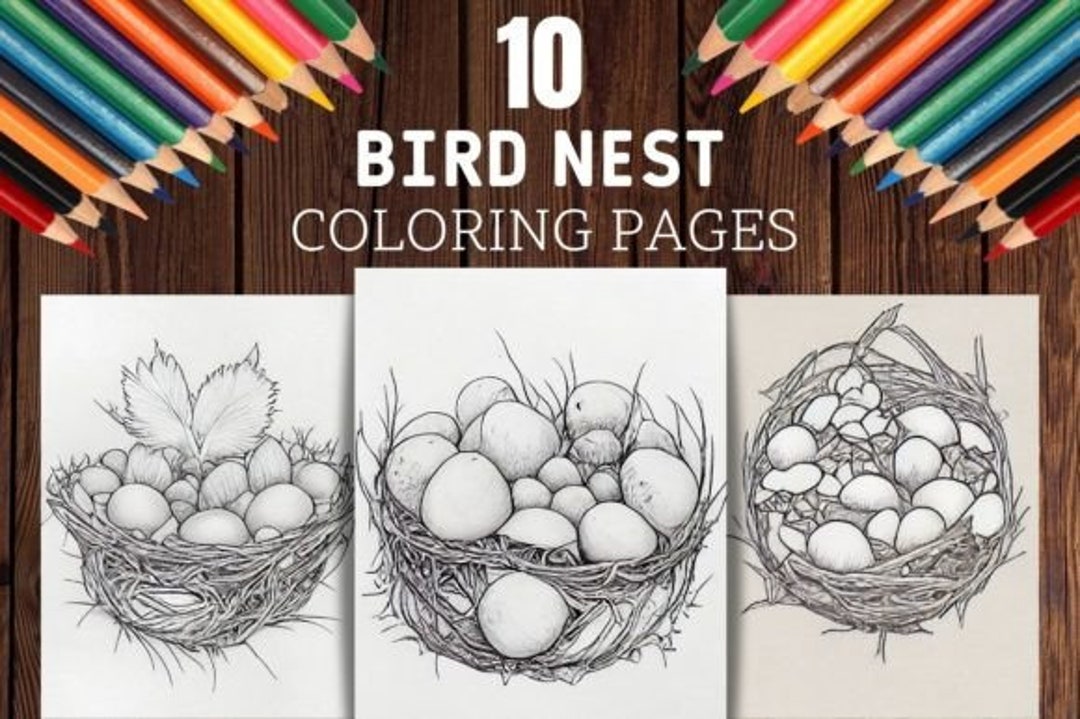 Bird Nests Coloring Pages, Grayscale Graphics, 10 Pages - Etsy
