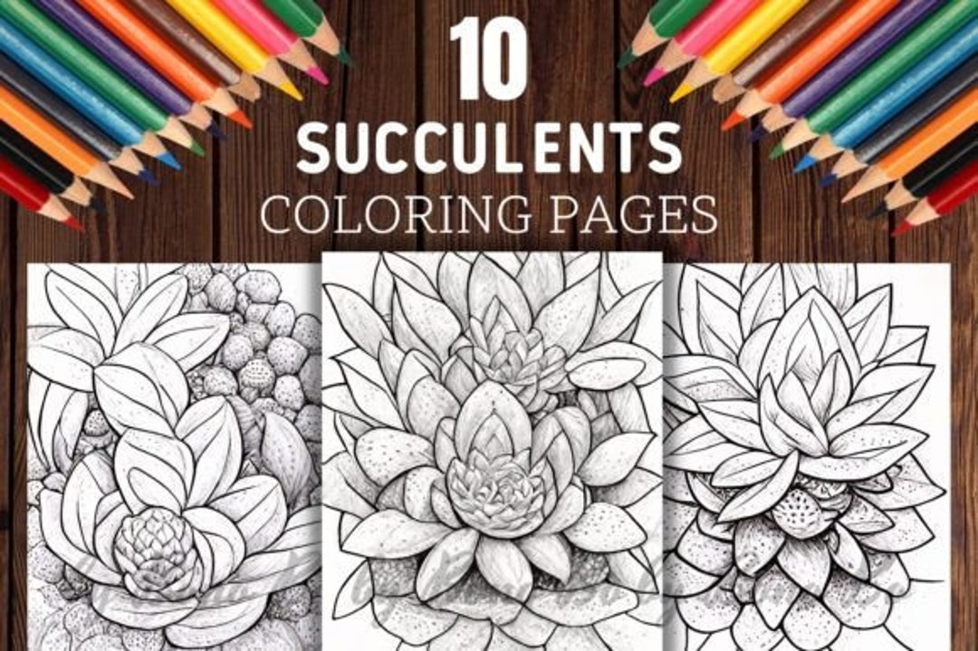 Cute Succulent Plant Coloring Pages, House Plants Graphics, 10 Pages - Etsy