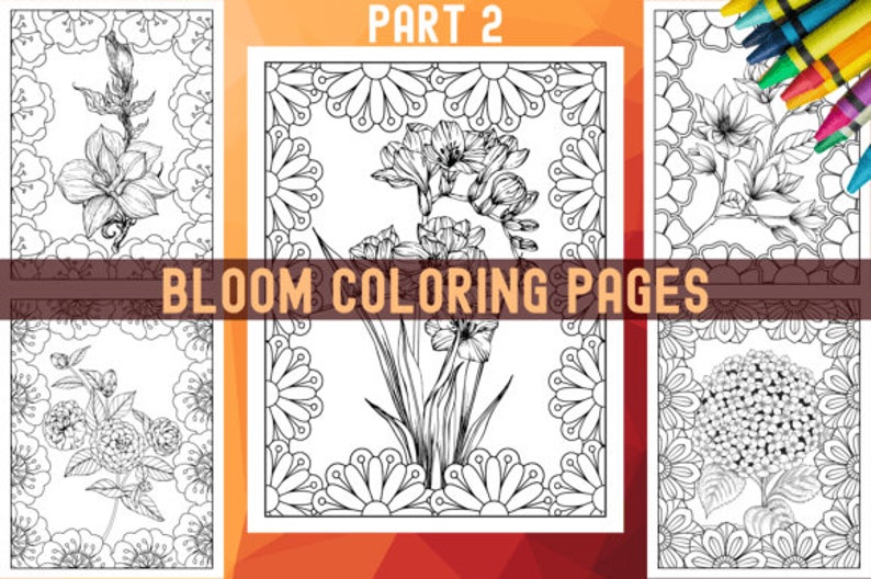 Bloom Flowers Coloring Pages, Beautiful Blooms Graphics, Part 2, 10 ...