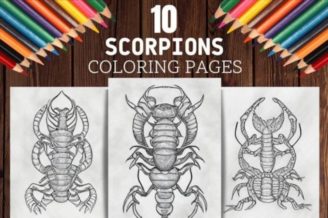 Scorpions Coloring Pages, Venomous Animals Unique Grayscale Graphics ...