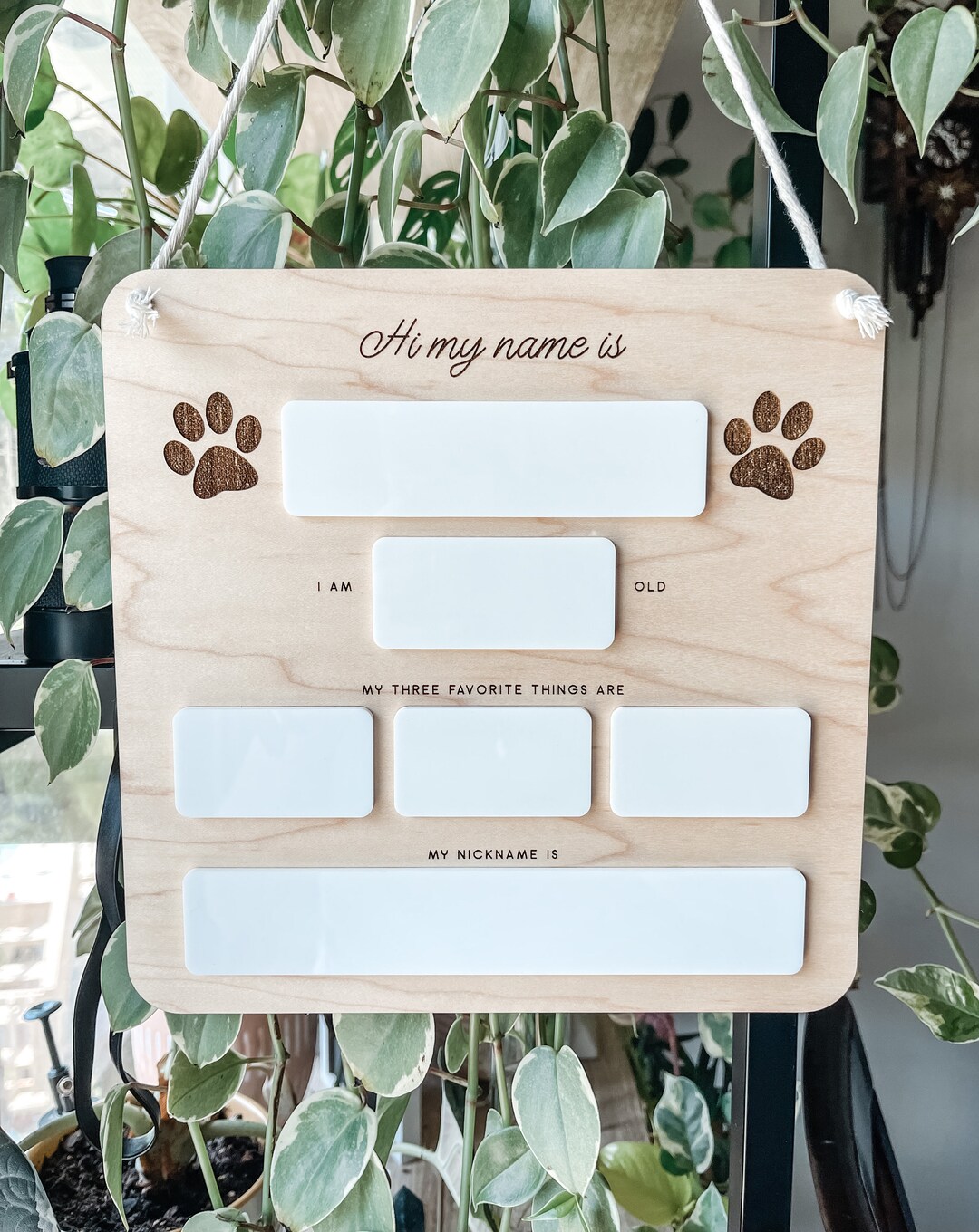 Pet Birthday Sign Birthday Sign Pet Sign Pet Accessories Dog Birthday ...