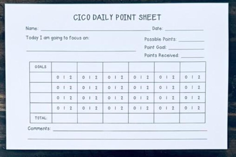 CICO Daily Point Sheet for Student Tracking | Printable Check in Check ...