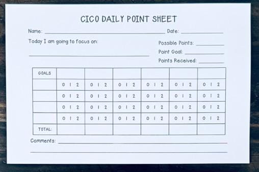 CICO Daily Point Sheet for Student Tracking | Printable Check in Check ...