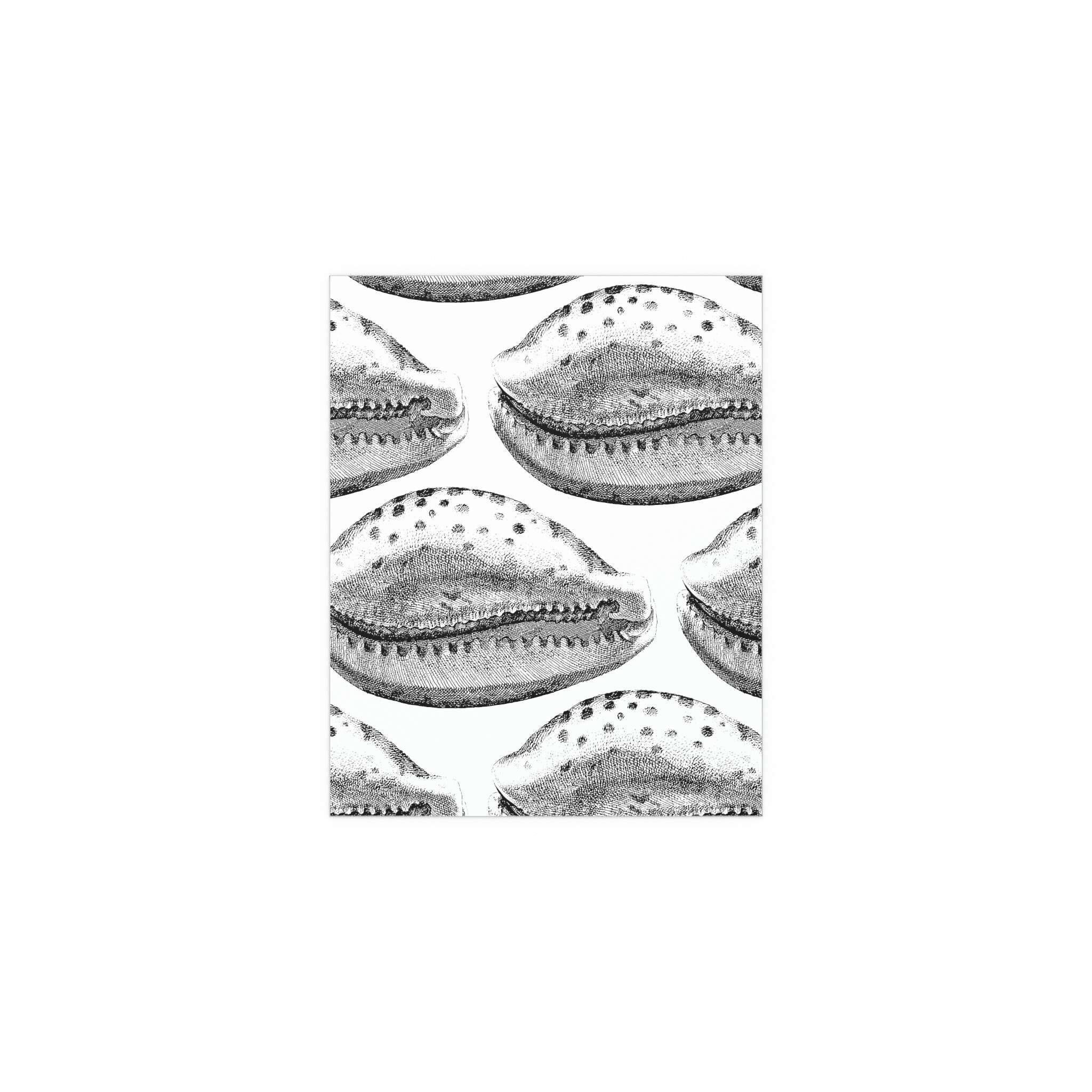 Cowrie Shell Poster Black and White 8 X 10 - Etsy