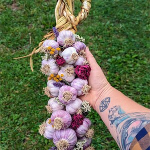 Garlic Braids - Etsy Canada