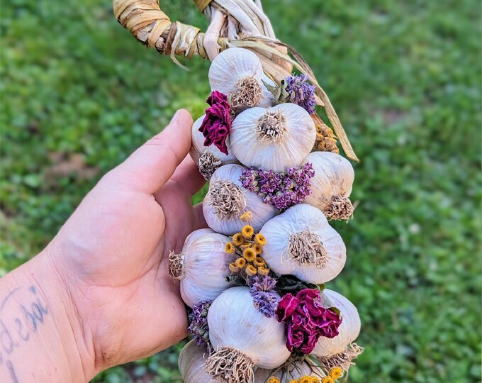 Medium Garlic Braid - Etsy Canada