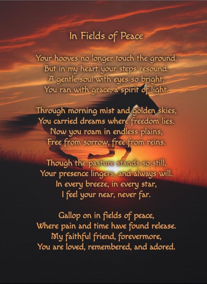 Horse Memorial Poem Print: Equestrian Sympathy Gift (digital File) - Etsy
