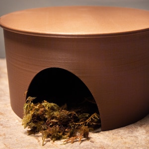 Removable Lid Reptile Hide - Etsy