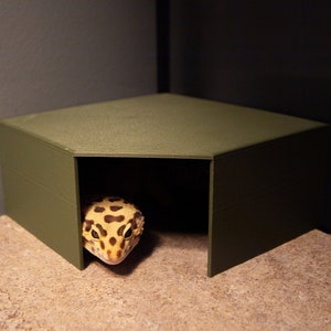 Corner Hide for Reptiles - Etsy