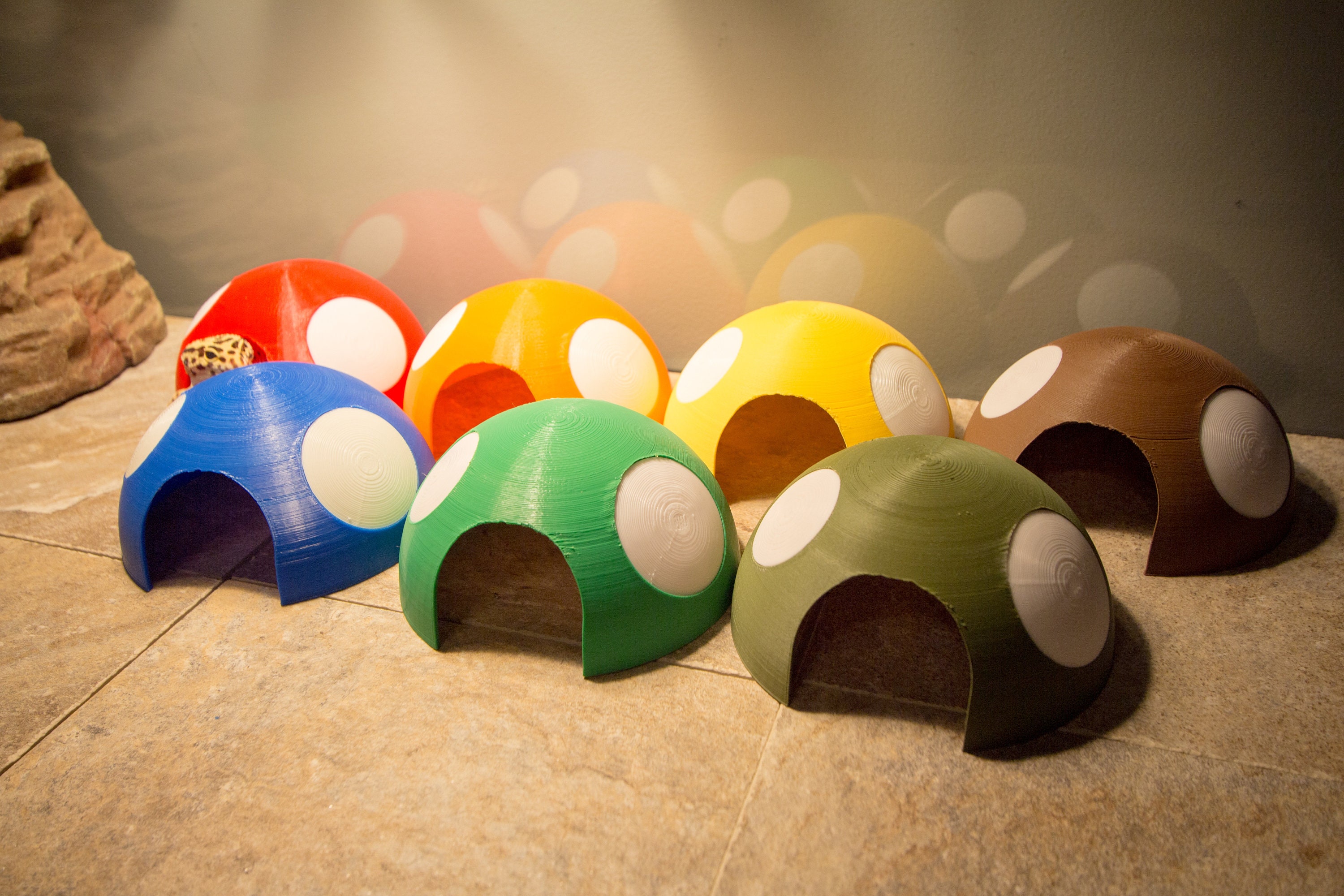 Super Mario Bros. Reptile Hide Bundle - Etsy