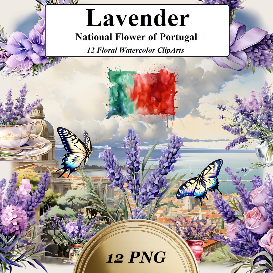 Floral Watercolor Clipart Lavender Watercolor Collection - Etsy