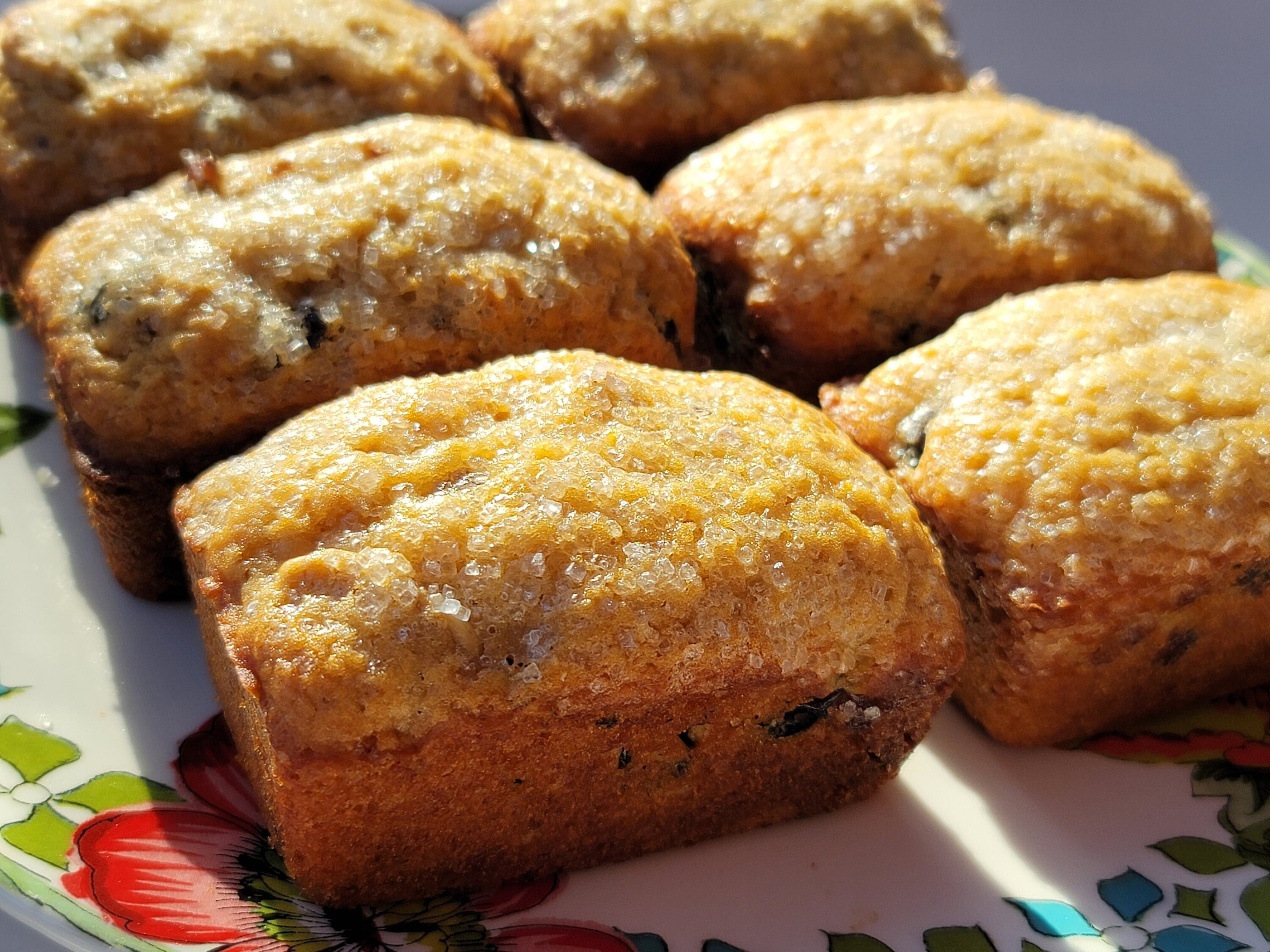 8 Assorted Mini Loaves - Etsy