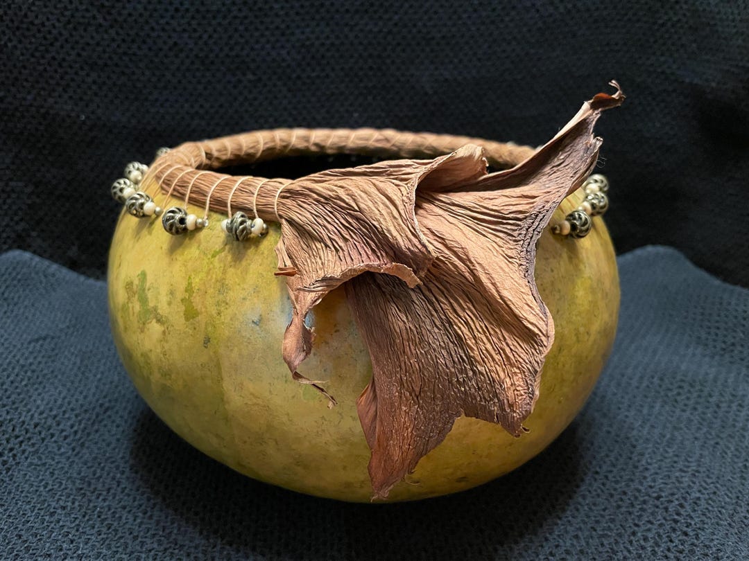 Gourd #173 ~ Large Green Gourd Bowl W/sheath ~ Gourd Art - Etsy