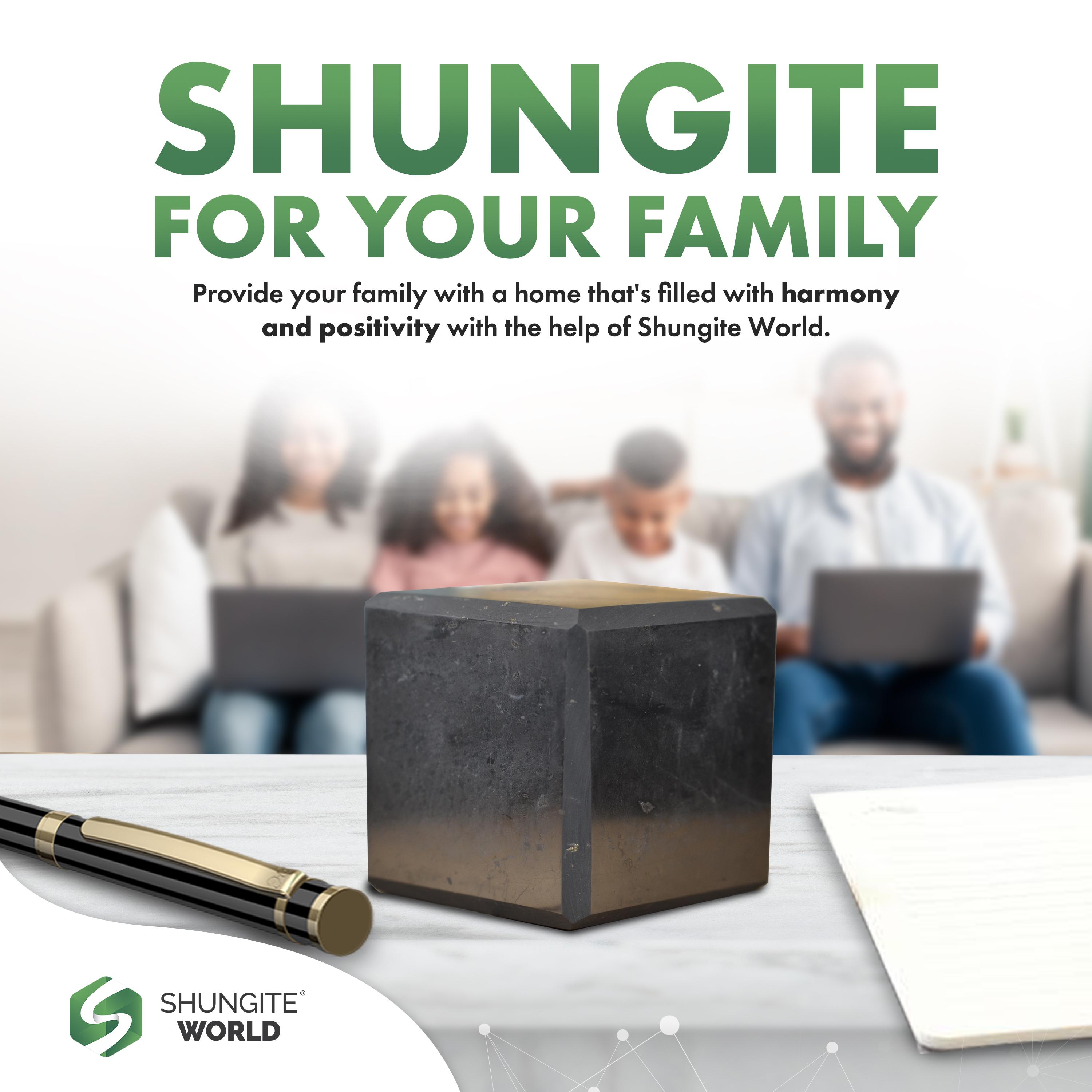 Authentic Shungite Cube EMF Protection Crystal Healing Energy Stone ...