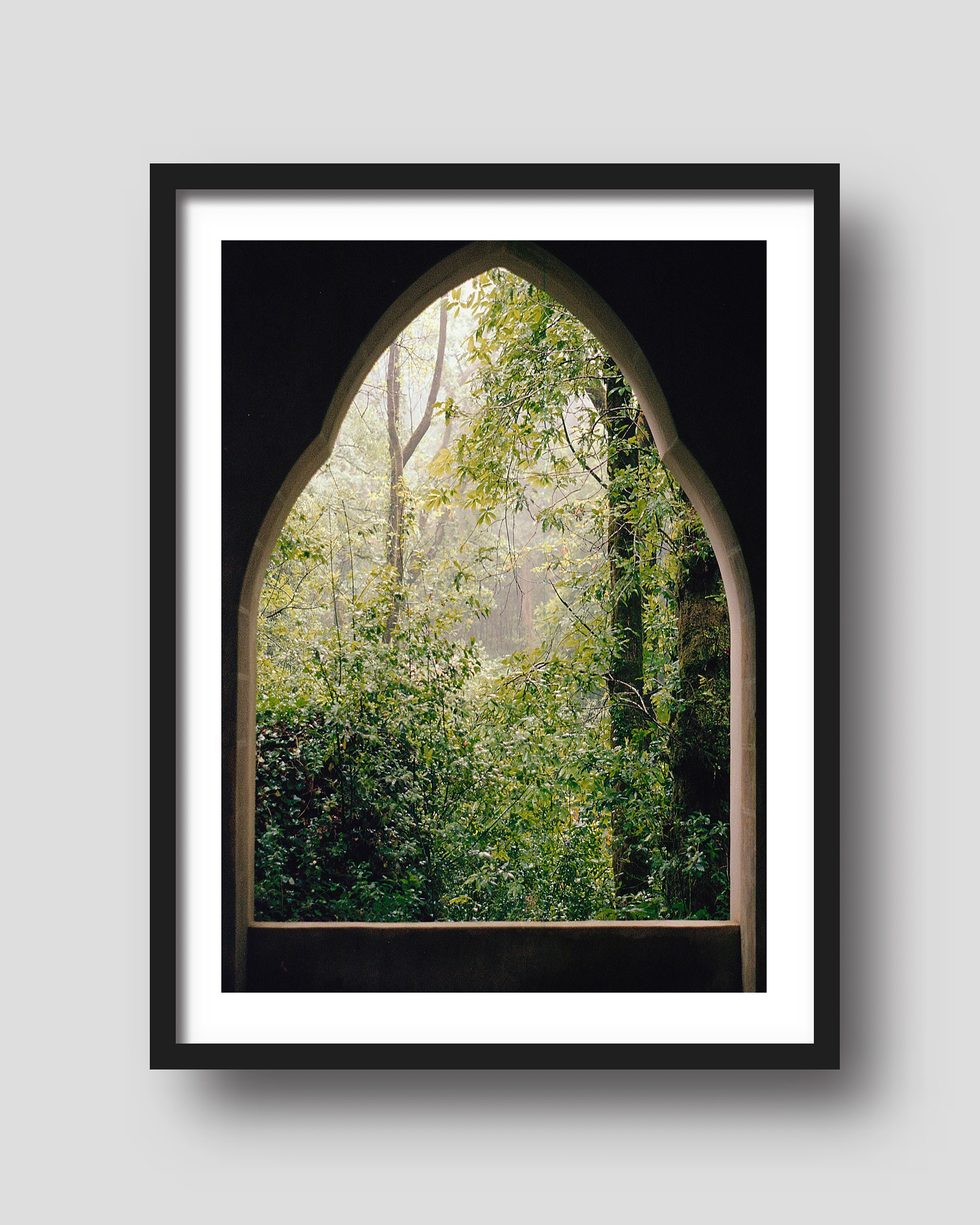 Photo Printable | Nature Photography | Wall Art Print | Color ...