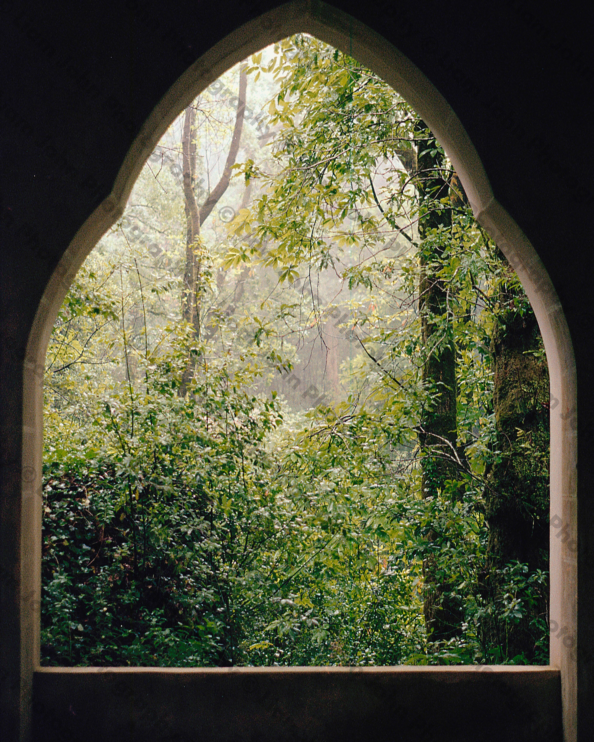 Photo Printable | Nature Photography | Wall Art Print | Color ...