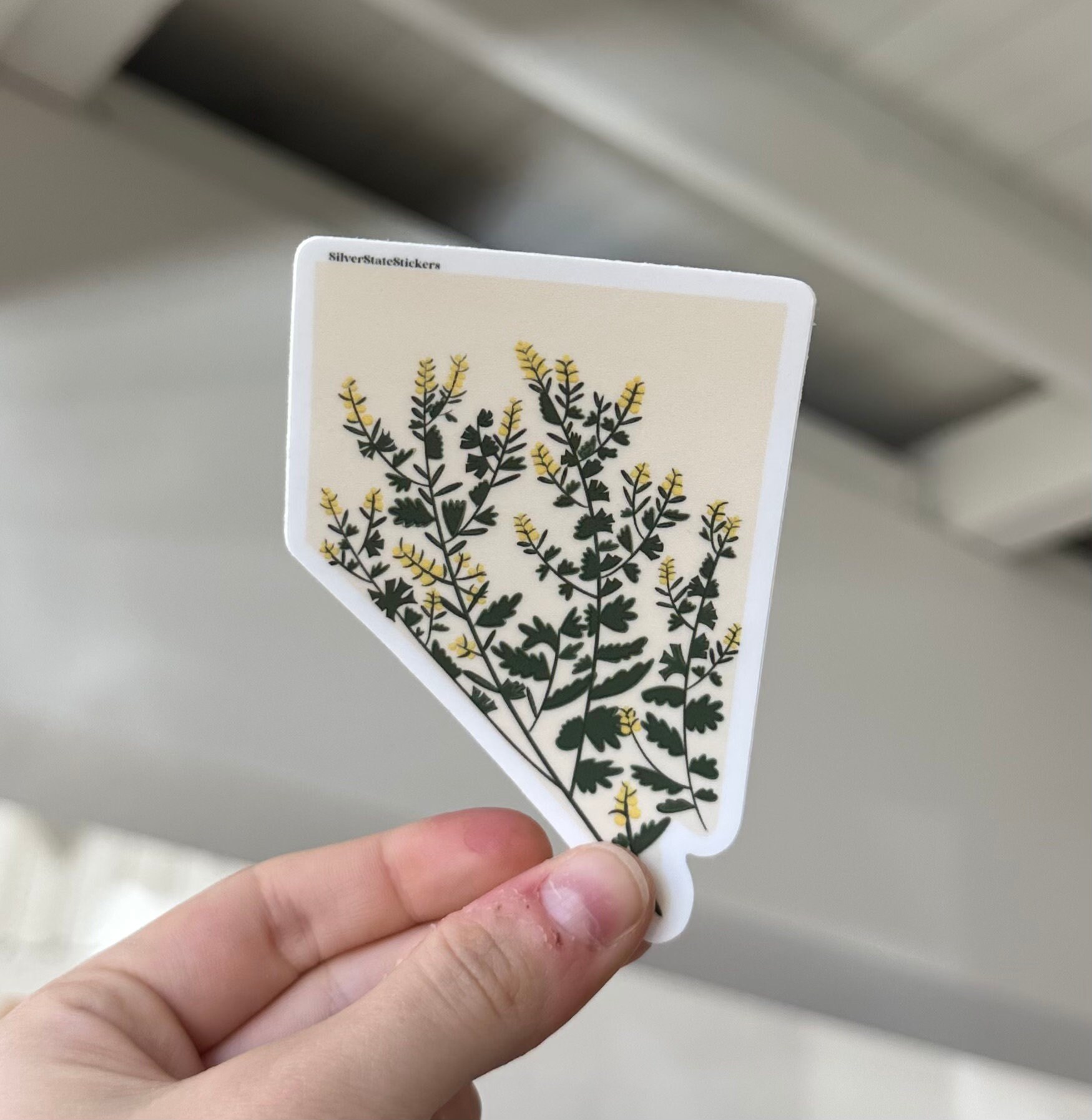 Nevada Sagebrush Vinyl Sticker Decal Nevada State Flower Botanical ...