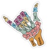 Physical Therapy Guide Sheet PT School Reference, Cheat Sheet ...