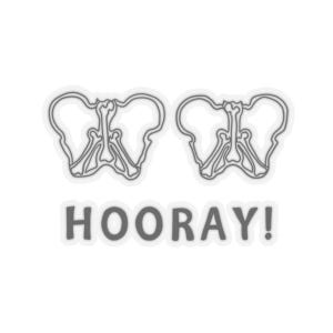 Hip Hip Hooray! Peace Sign Hips, Anatomy Pun Sticker 2" X 2" - Etsy