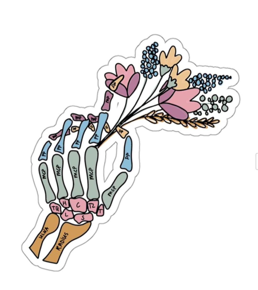 Hand Anatomy Flower Bouquet Sticker Physical Therapy Stickers Anatomy ...