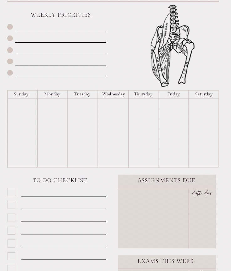 Physical Therapy Anatomy Academic Calendar 2024 2025 July June Spiral ...