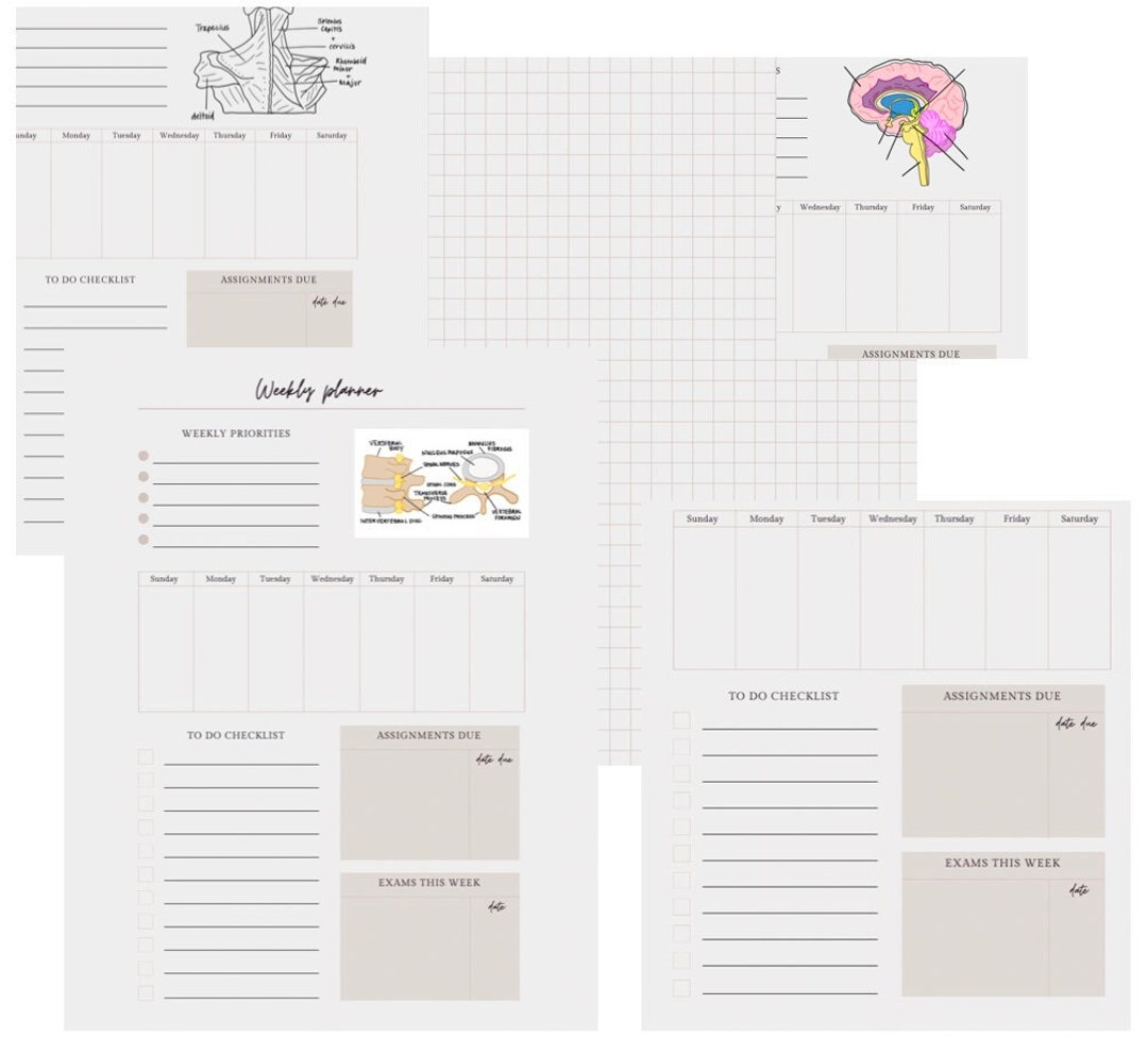 Anatomy Coloring Weekly Student Planner: Medical Study Guide (digital ...