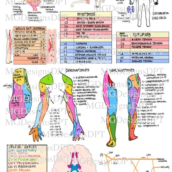 Physical Therapy Note Guide - Etsy
