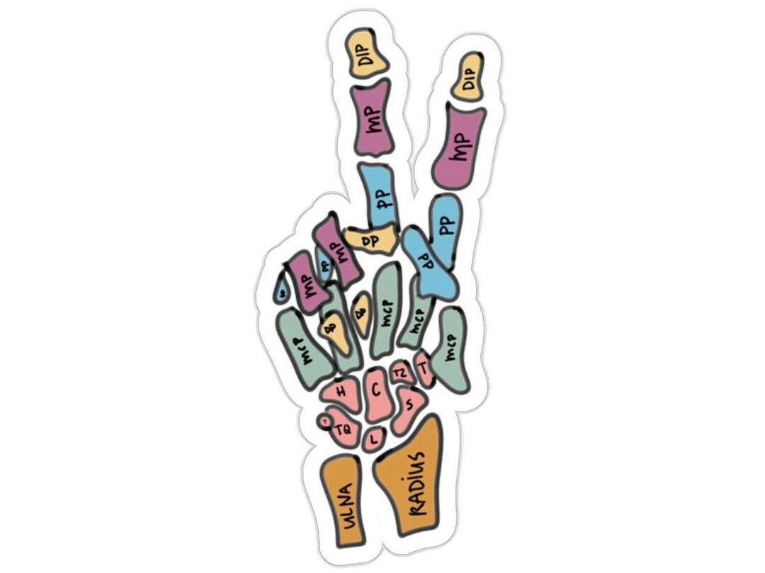 Peace Sign Sticker Hand Anatomy Sticker - Etsy