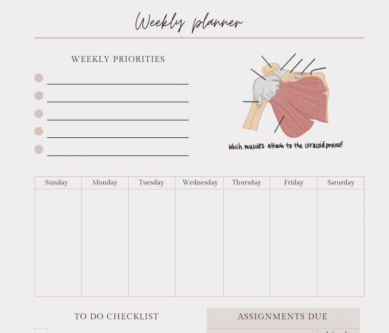 Physical Therapy Anatomy Academic Calendar 2024 2025 July June Spiral ...