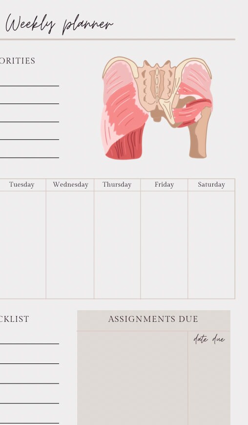 Physical Therapy Anatomy Academic Calendar 2024 2025 July June Spiral ...