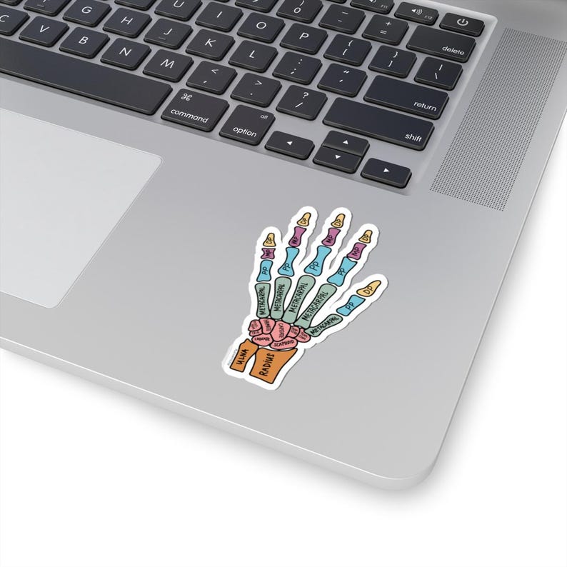 Hand Anatomy Sticker | Anatomical Hand Bones Labeled | Physical Therapy ...