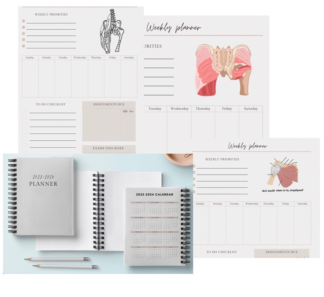 Physical Therapy Anatomy Academic Calendar 2024 2025 July June Spiral ...