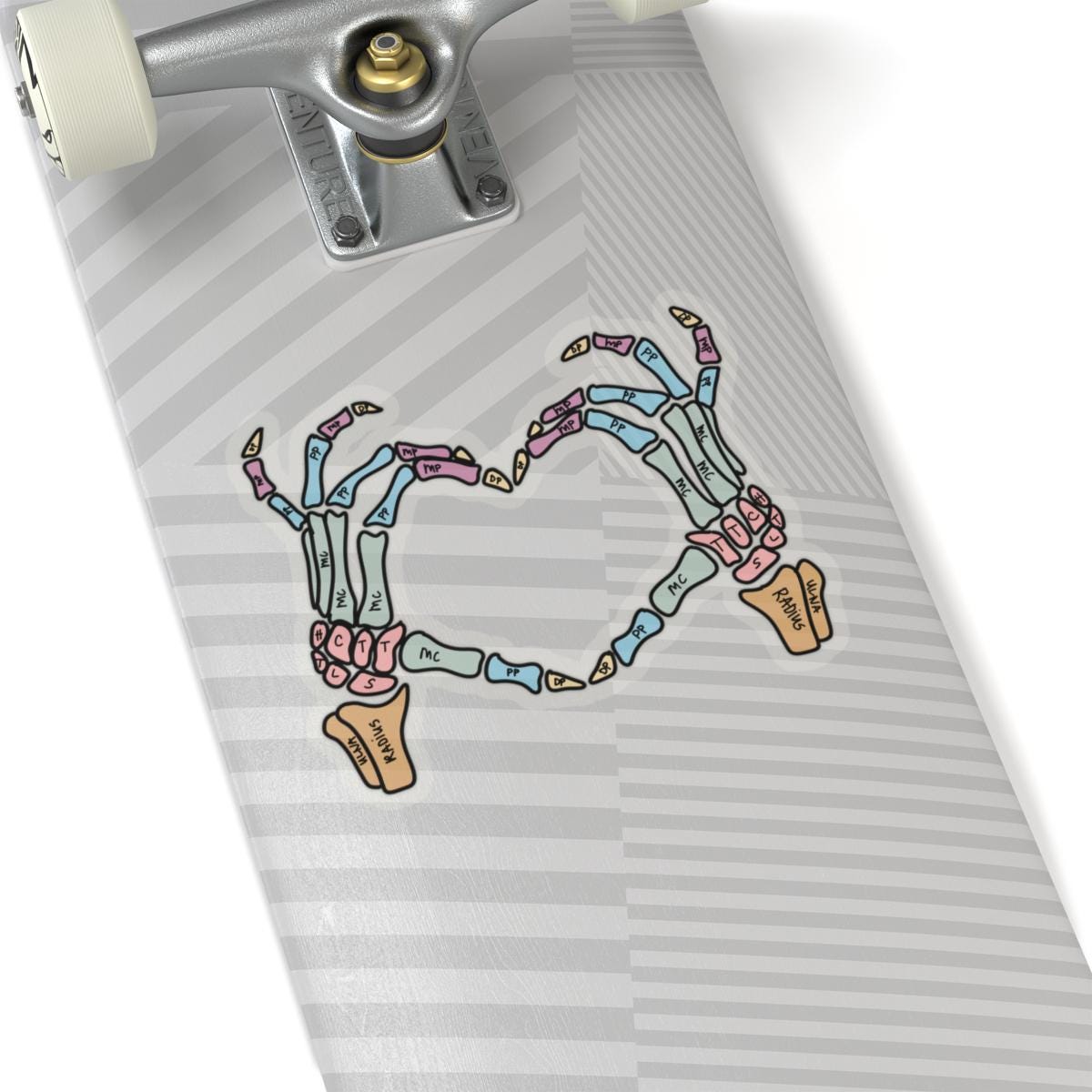 Heart Hands Sign Anatomy Physical Therapy Stickers Anatomy Sticker ...