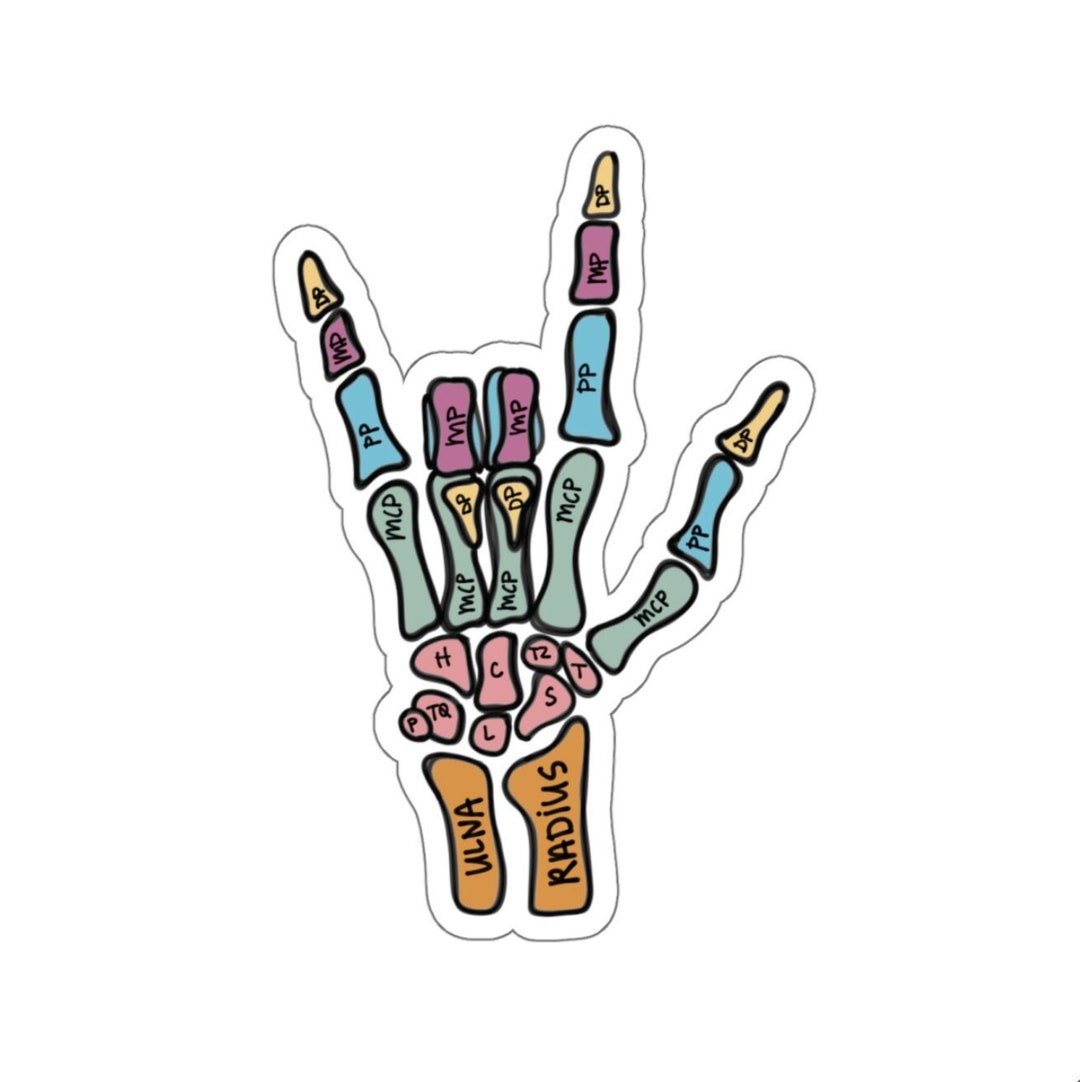 I Love You Sign Anatomy | Sticker - Etsy