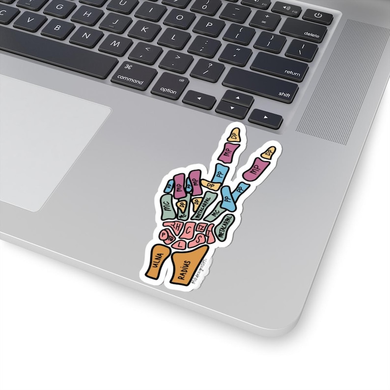 New Peace Sign Sticker | Hand Anatomy Sticker | Larger Anatomy Labeling ...