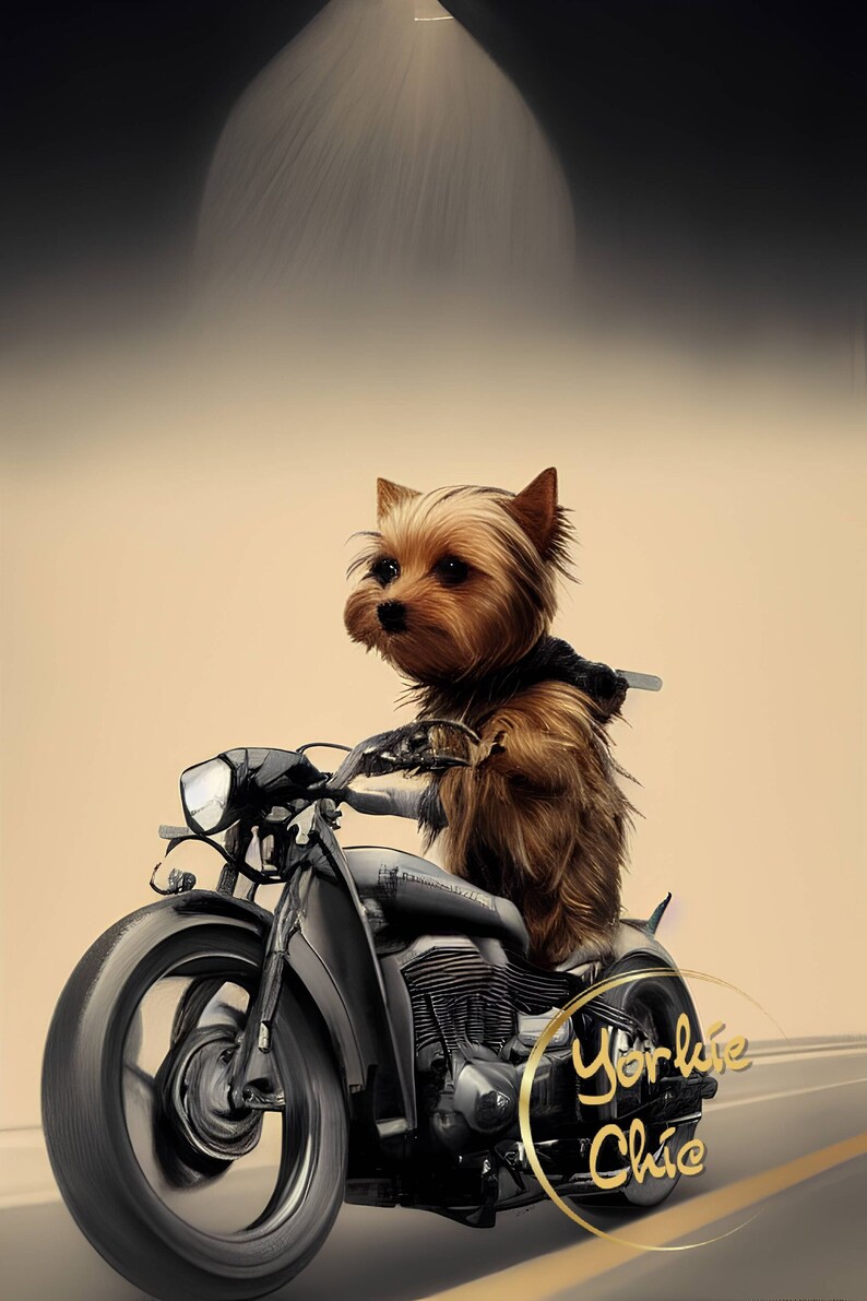 Yorkie Easy Rider - Wall Art - Home Office Decor - Yorkie Gift ...