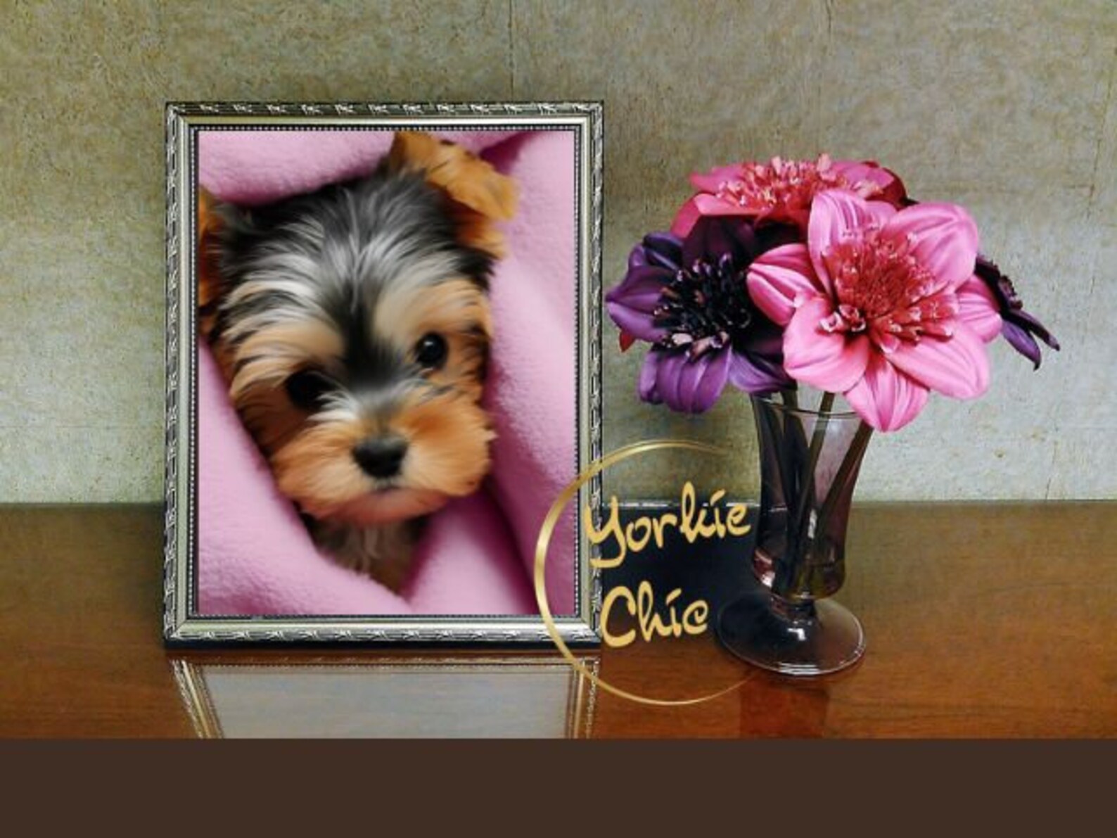 Yorkie - Pretty in Pink - Wall Art - Home Office Decor -yorkie Gift ...