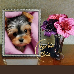 Yorkie - Pretty in Pink - Wall Art - Home Office Decor -yorkie Gift ...
