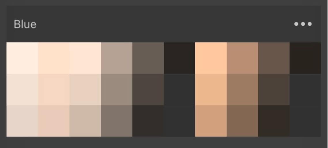 Skin Tone Swatches and Colour Wheel - Etsy