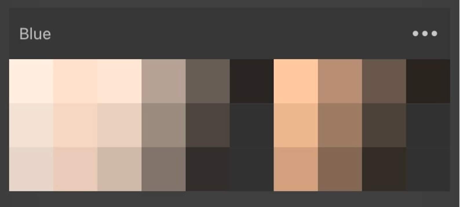 Skin Tone Swatches and Colour Wheel - Etsy