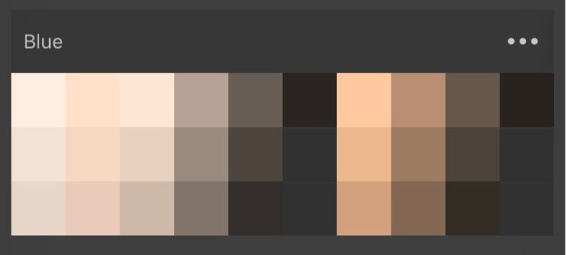 Skin Tone Swatches and Colour Wheel - Etsy