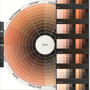 Skin Tone Swatches and Colour Wheel - Etsy