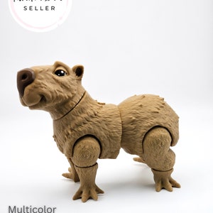 3D Printed Articulated Capybara Figurine, Toddler Room Decor, Animal ...