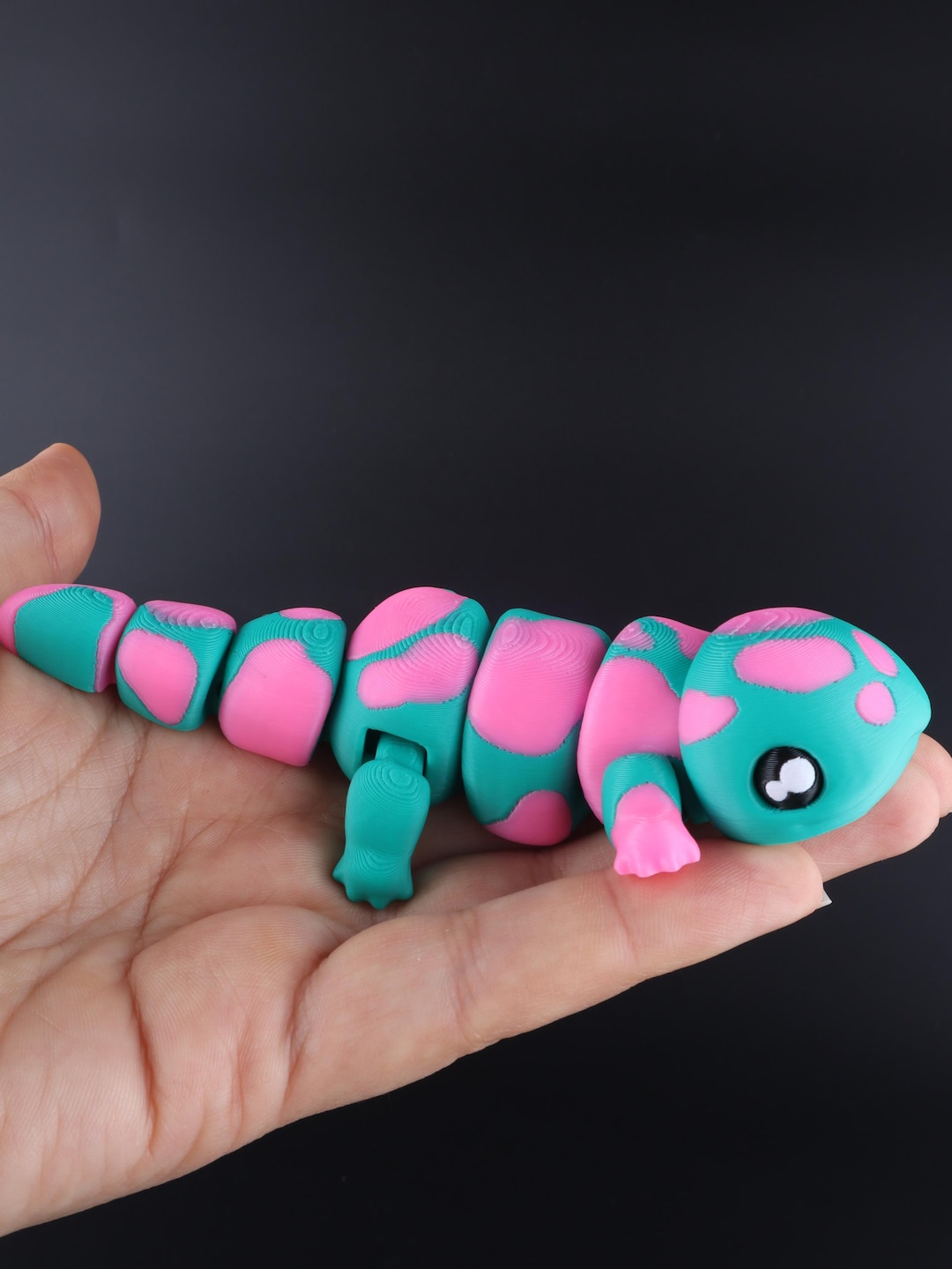 3D Printed Salamander Toy – Whimsical Fidget Figurine, Desk Decor - Etsy