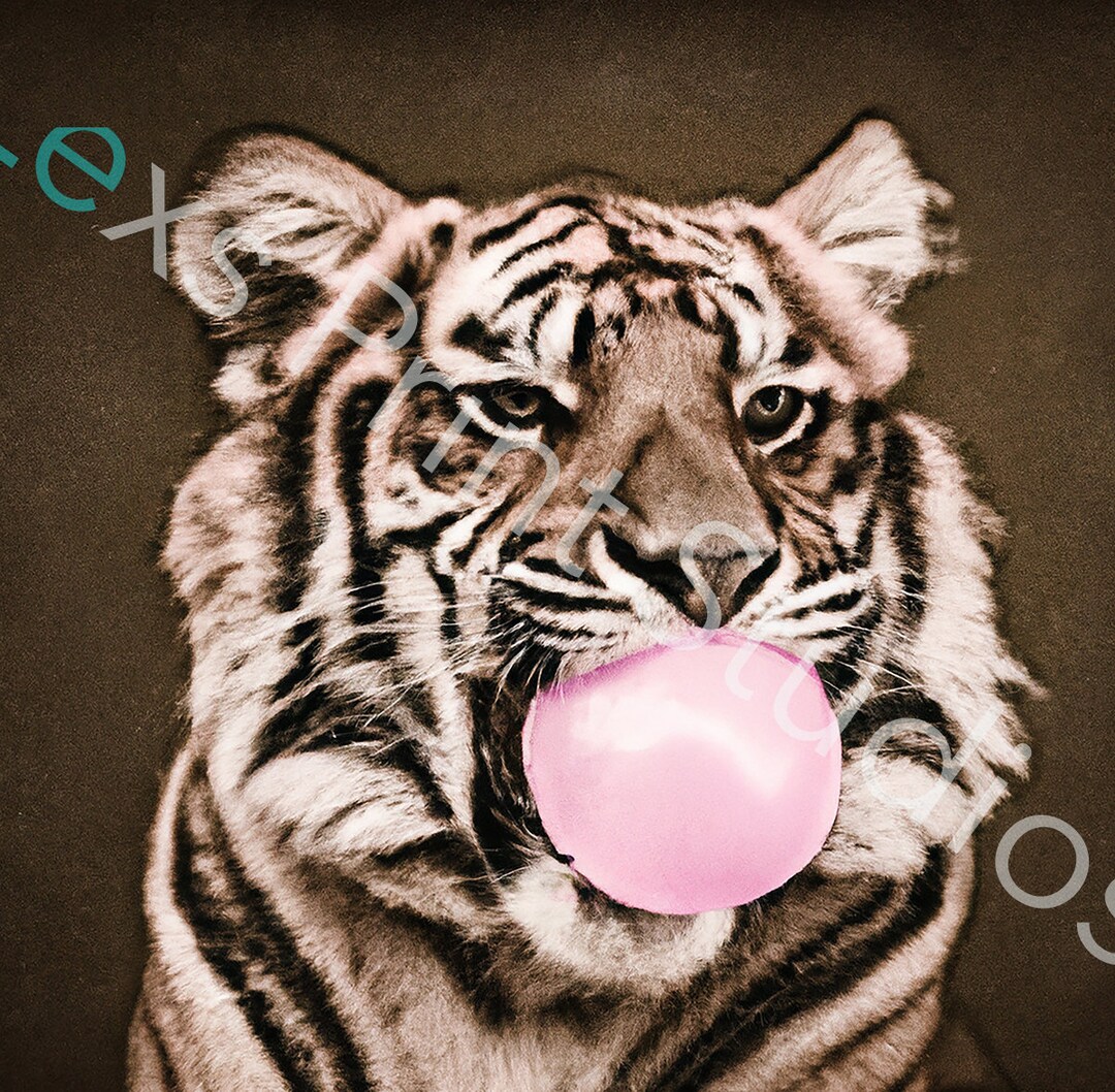 Lion Bubble 5 - Etsy