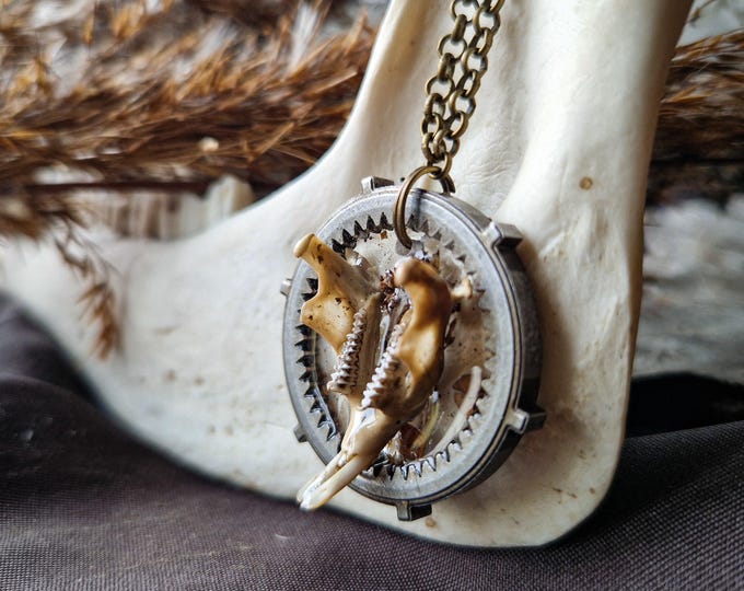 Full Rat Jaw Necklace - Etsy
