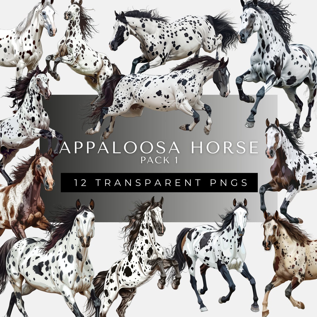 Appaloosa Horse Clipart | Horse Png | Horse Illustrations | Watercolor ...